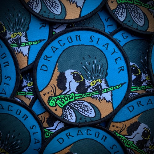 American Kestrel Falcon Falconry Falconer Birds of Prey - Etsy