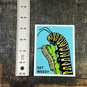 MONARCH CATERPILLAR STICKER 5 Pack Butterfly Milkweed Outdoor Uv Vinyl ...