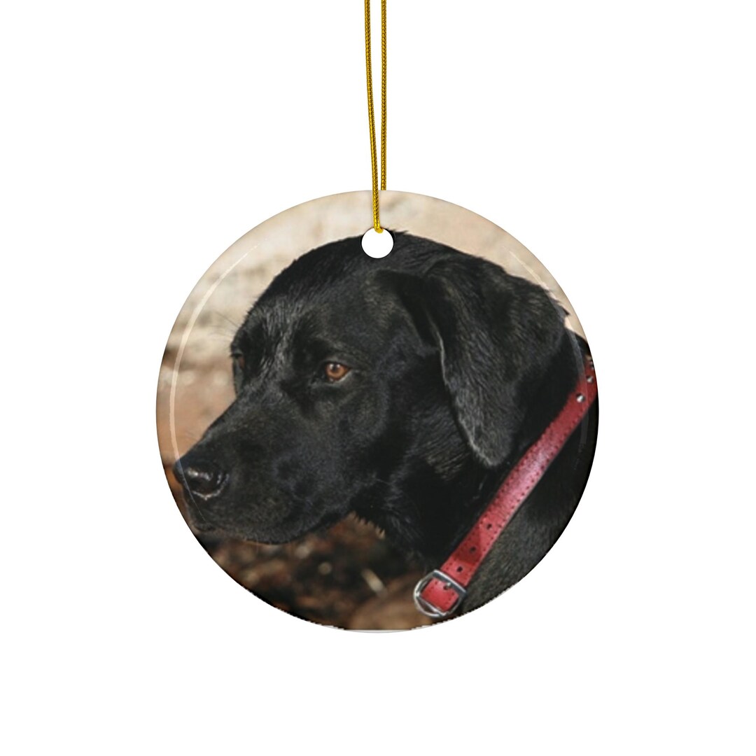 Labrador Retriever Ceramic Disc Ornament Style 3308259 - Etsy