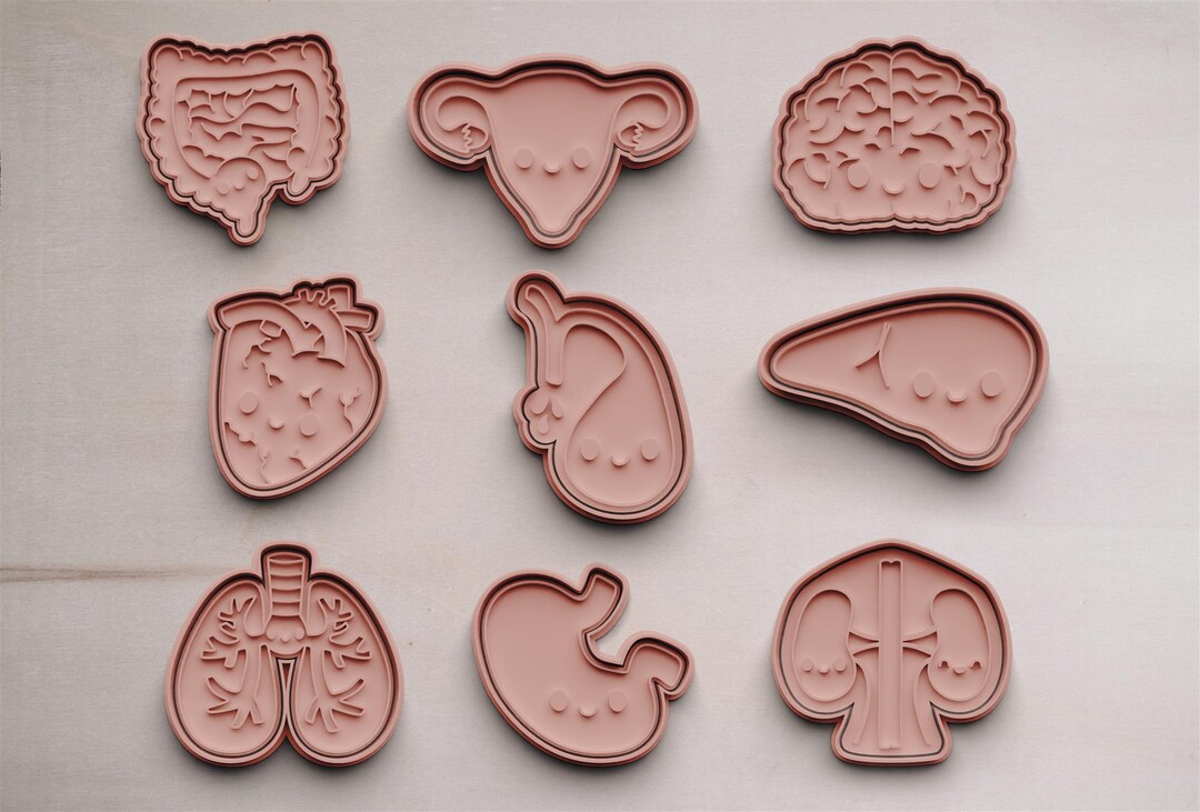 Human Organs Cookie Cutter | Cookie Cutters | Cookie Cutter | Cookie ...