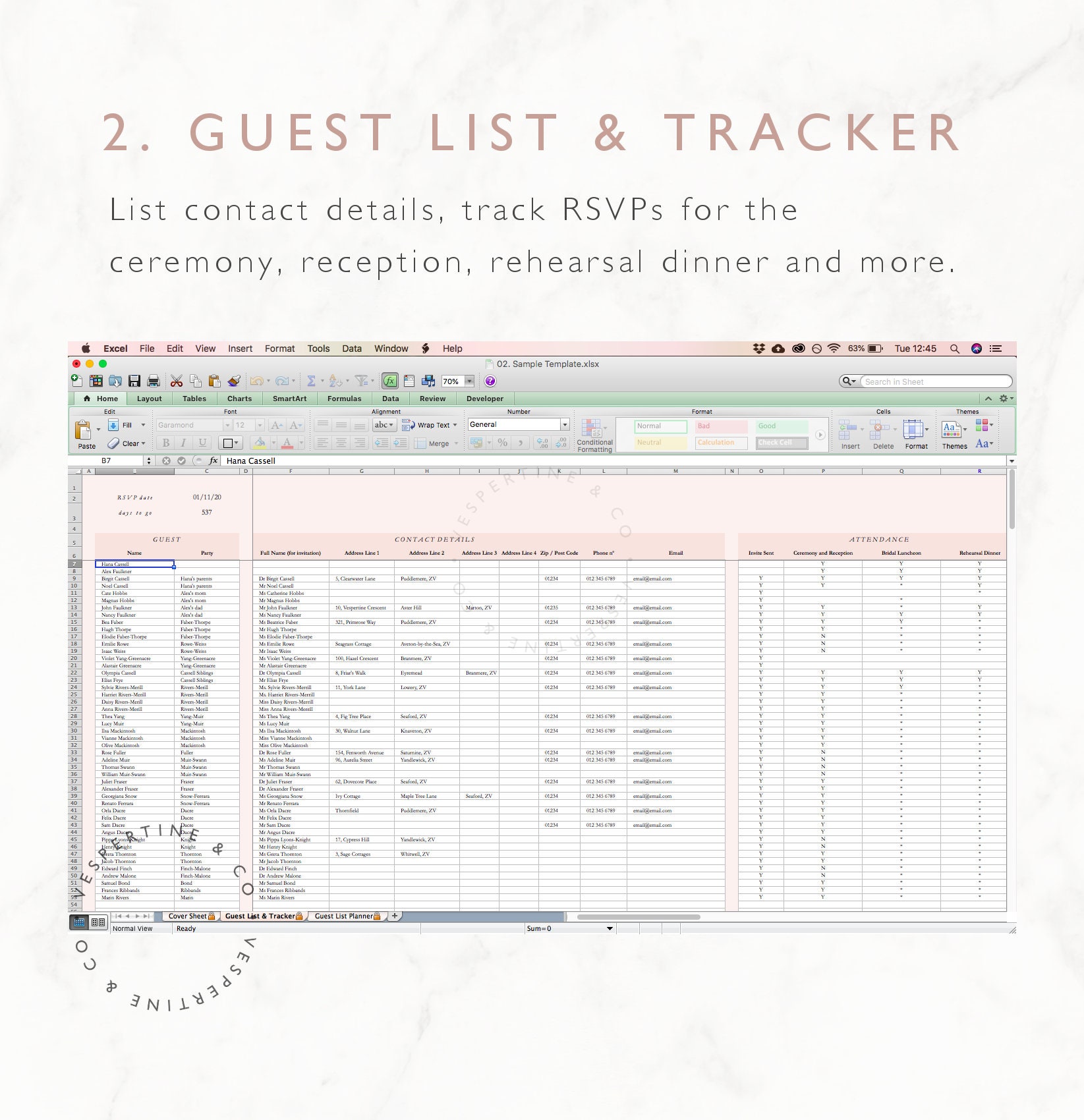 Wedding Guest List Planner and Guest List Tracker Excel - Etsy UK