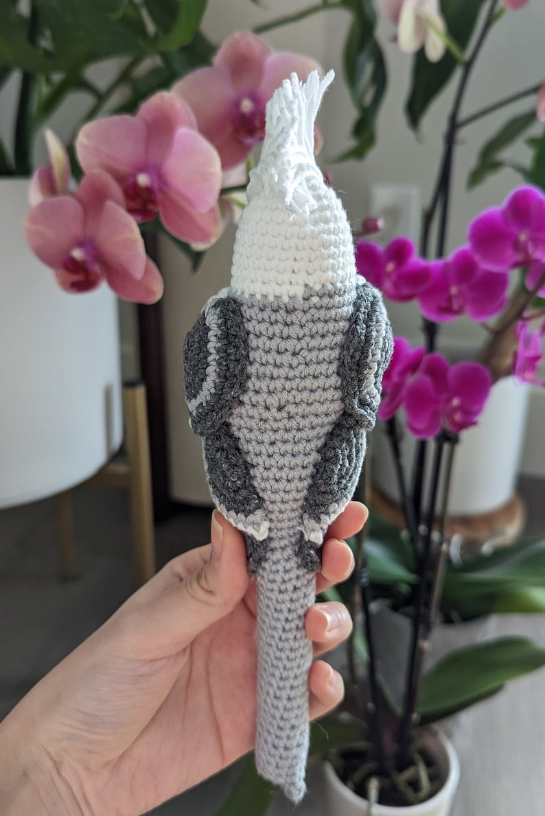 Custom White Faced Cockatiel Crochet Amigurumi Crochet Bird - Etsy