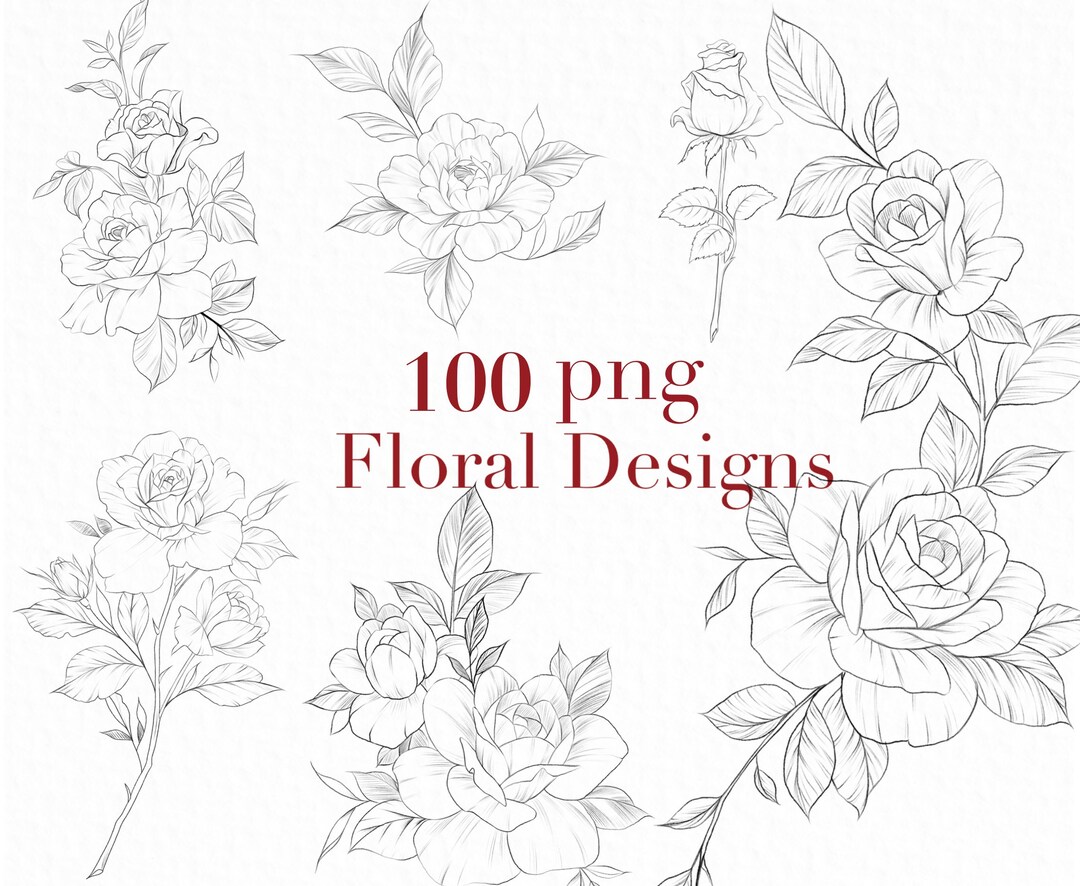 Rose Fine Line Artwork, Garden Flowers, Botanical Line Art,png, Clipart ...