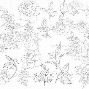 Procreate Flower Stamp, Roses Brush Set - Etsy