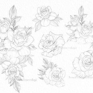 Rose Fine Line Artwork, Garden Flowers, Botanical Line Art,png, Clipart ...