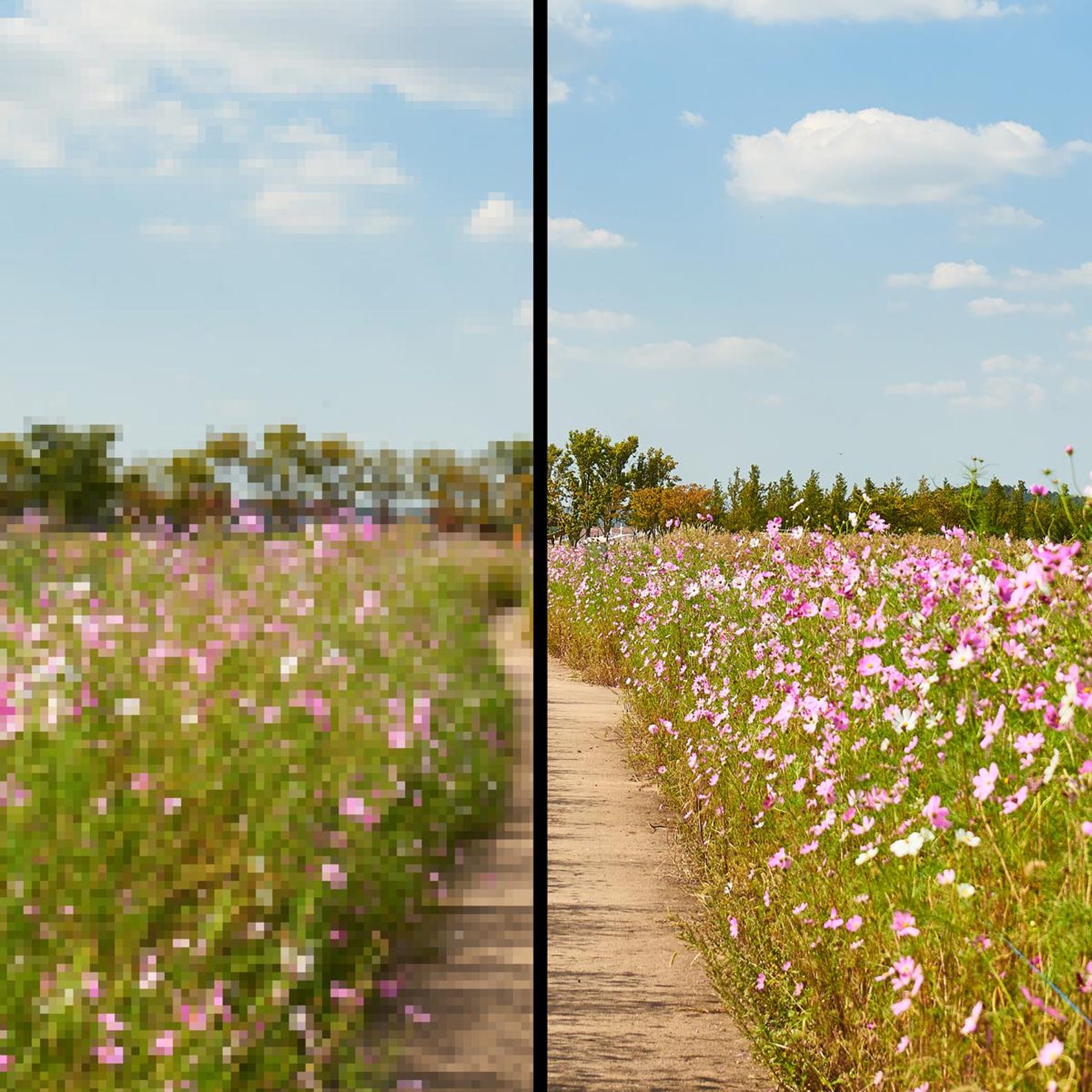 Photo Resolution Upscaling Enhancement – Fix Blurry Photos, Sharpen ...