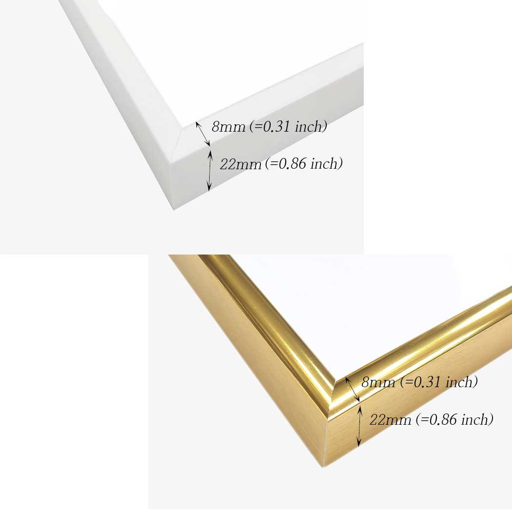 Buy Aluminum Metal Frames in Matte Gold for Poster Photography Online ...