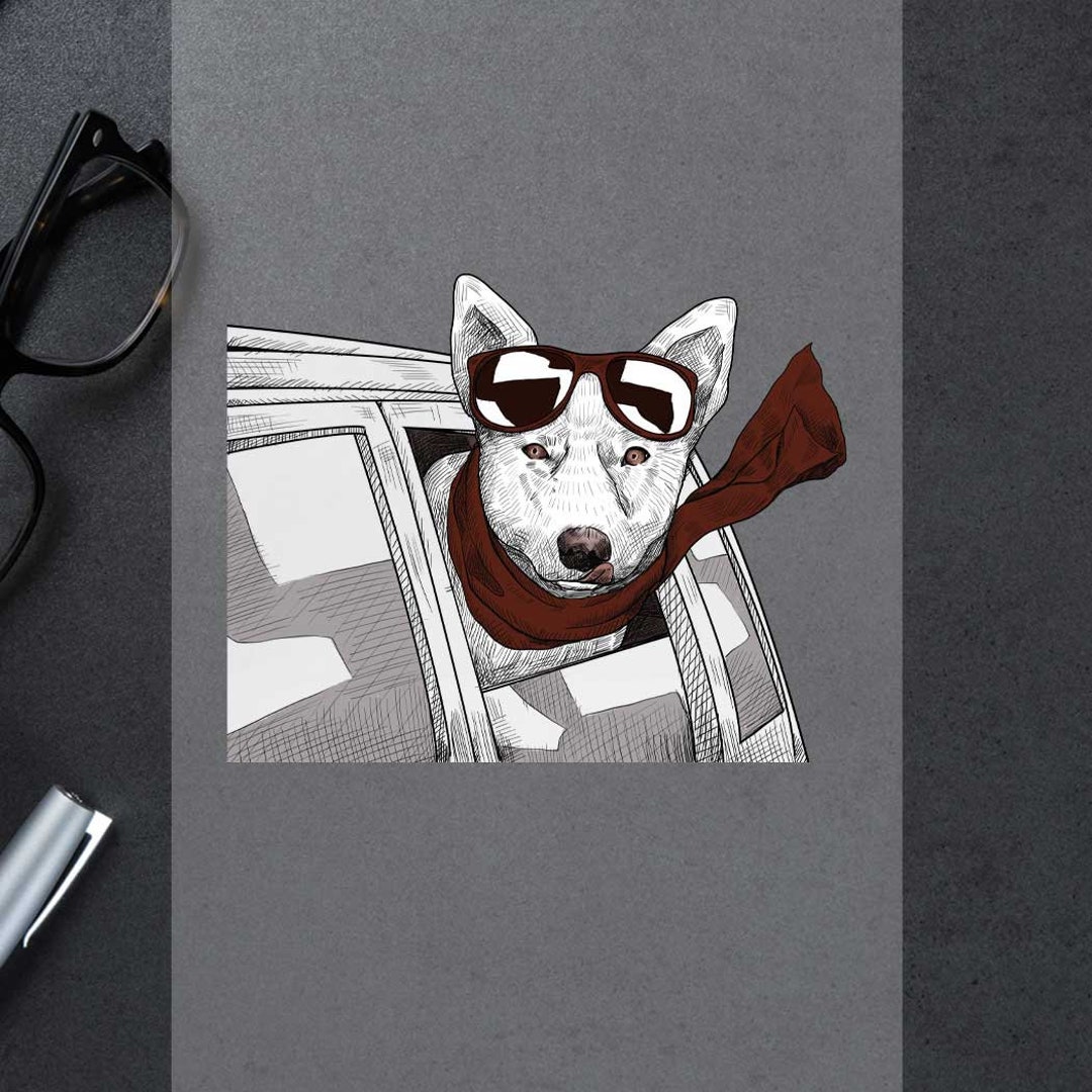 Iron Transfer Print Designs Heat Press Machine Ready to Press Dog Rides ...