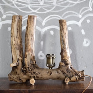 Driftwood Lamp Wood Roots Lamp Rustic Light Wood Lamp - Etsy
