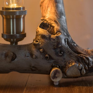 Driftwood Lamp Wood Roots Lamp Rustic Light Wood Lamp - Etsy