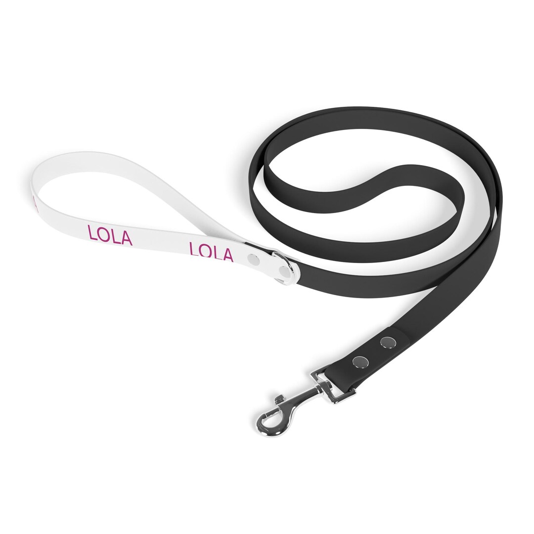 Personalized Dog Leash With Name, Custom Pet Leash, Stylish Dog Leash ...