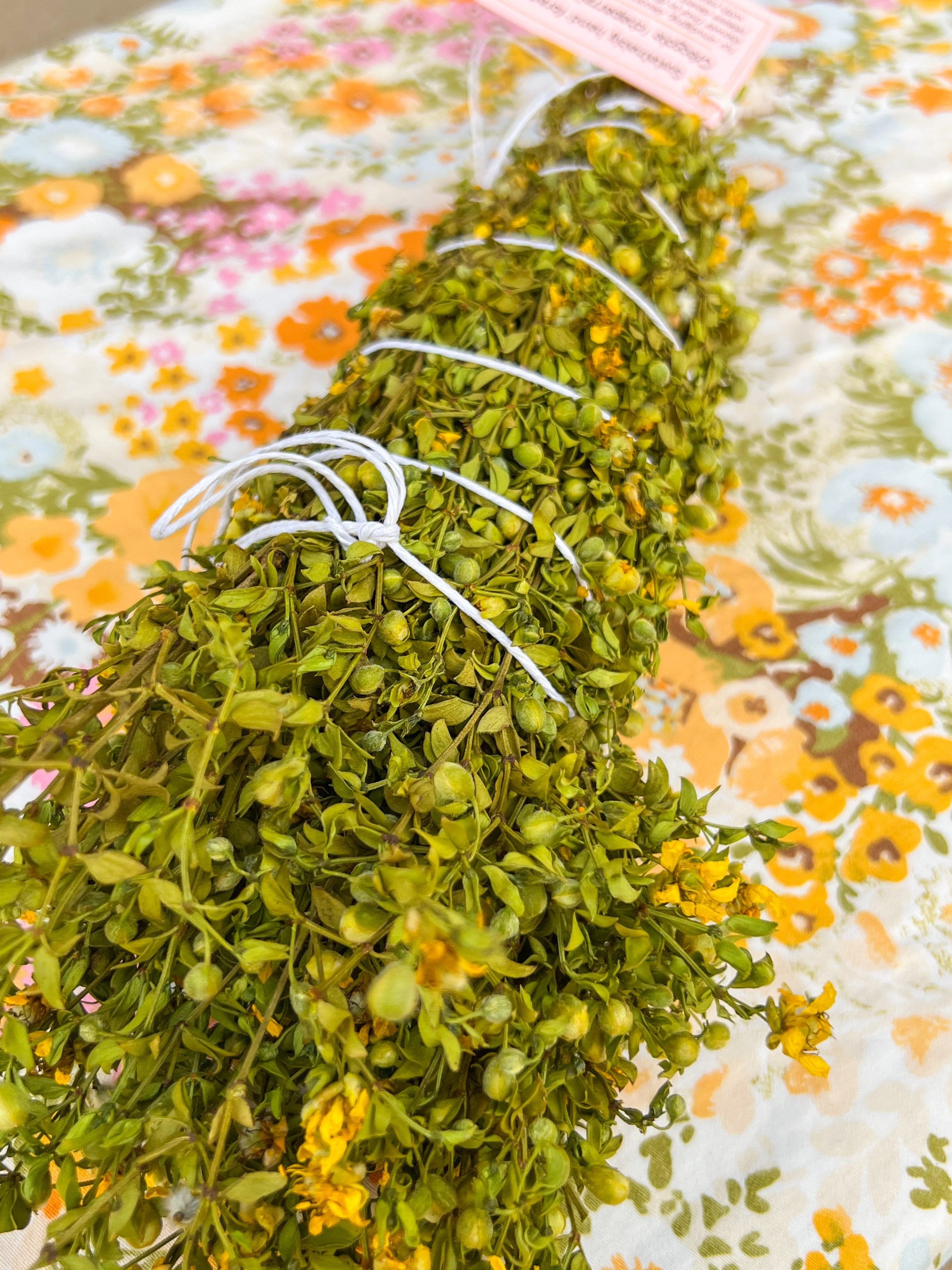 Creosote Bush Drawing