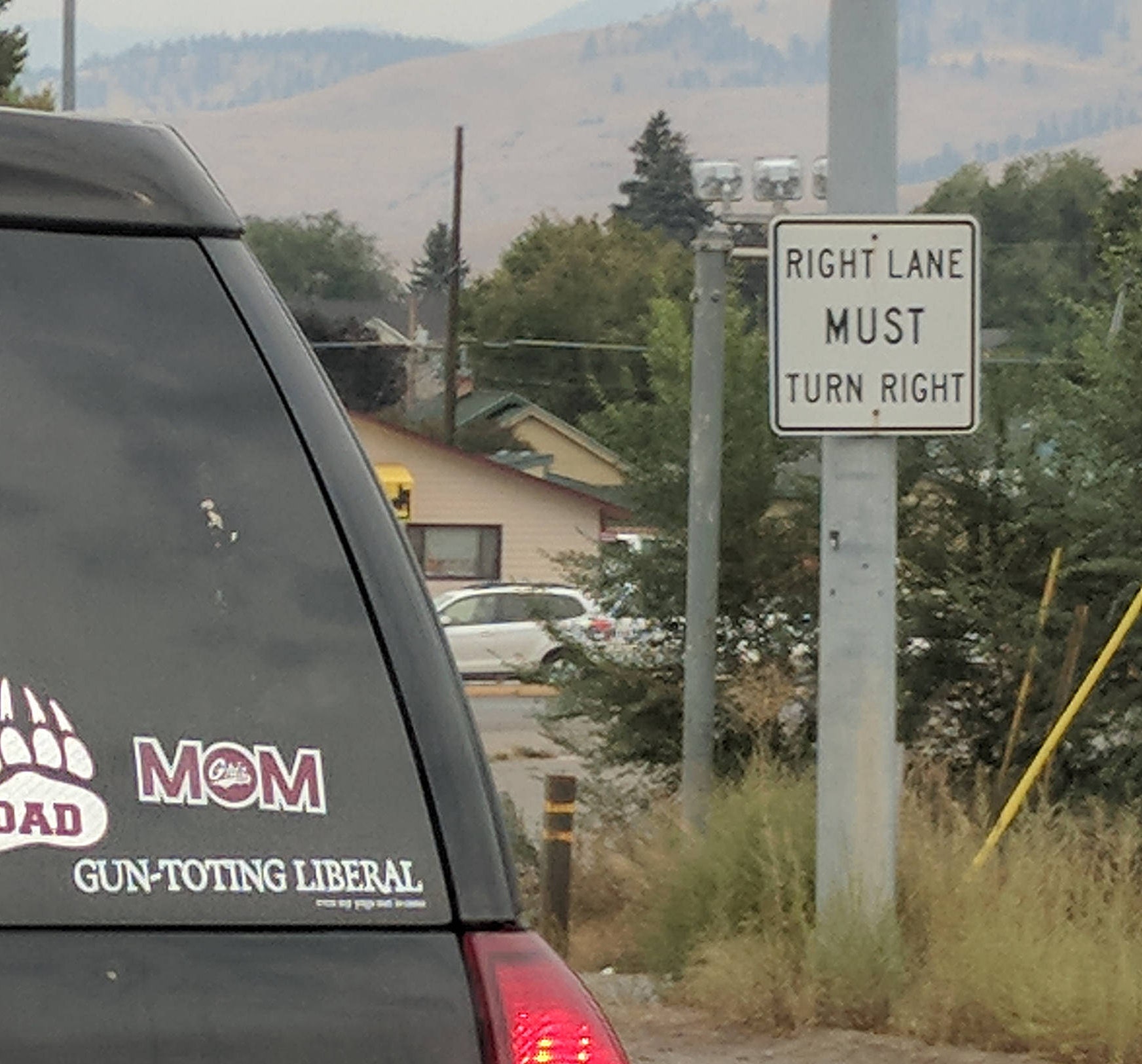 Gun-toting Liberal Sticker - Etsy