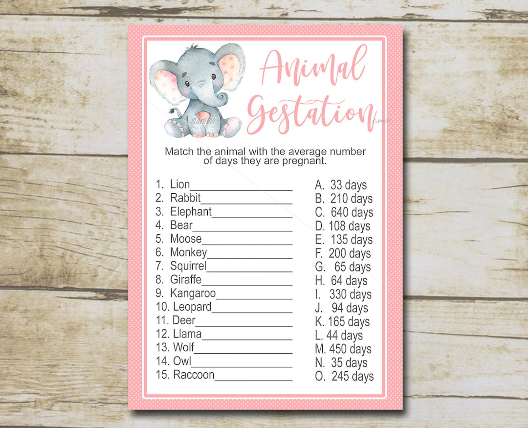 Girl Elephant Baby Shower Game, Animal Gestation Game, Animal Pregnancy ...