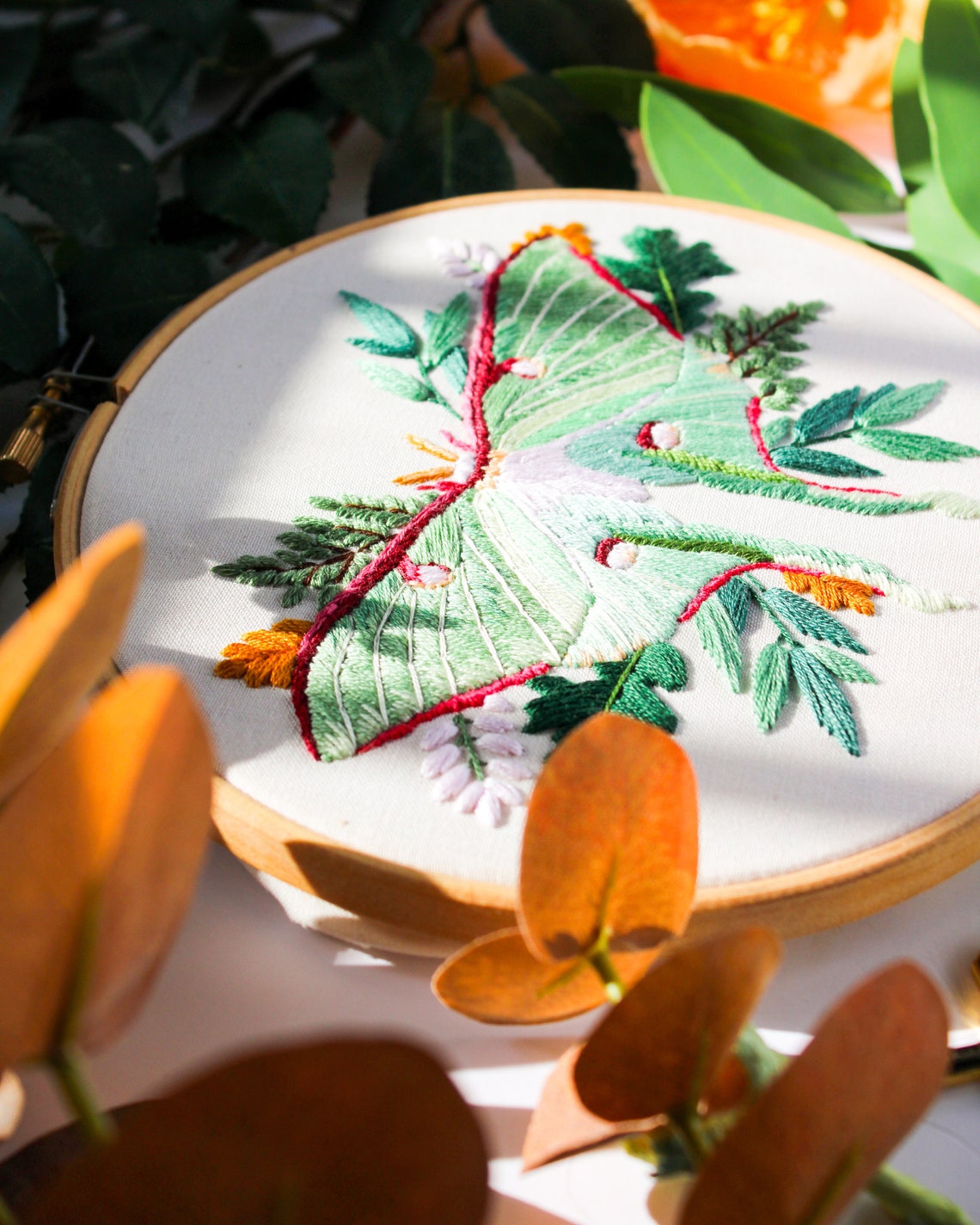 Luna Moth Embroidery Pattern Printable PDF Embroidery Luna - Etsy