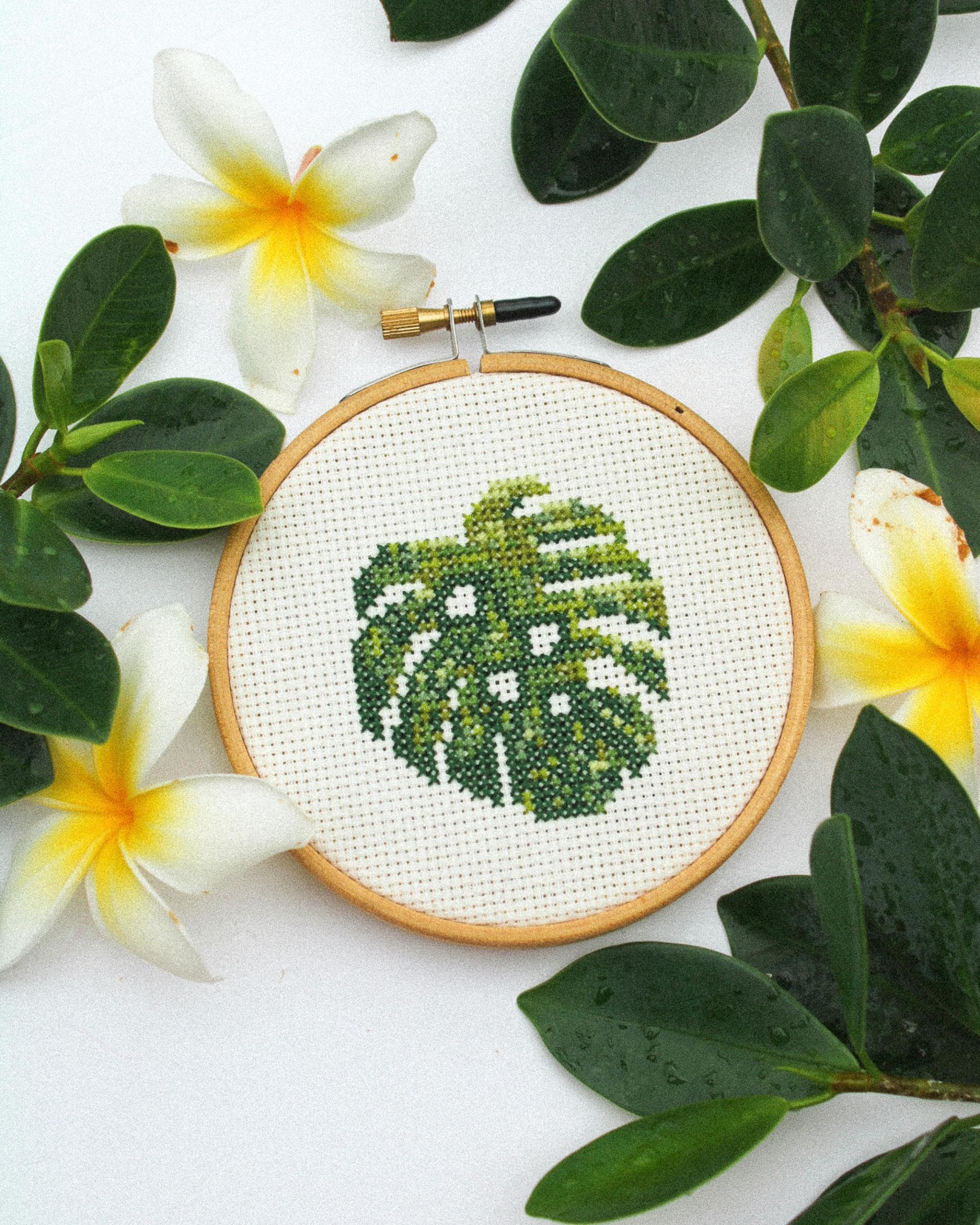 Monstera Leaf Cross Stitch Pattern, PDF Download, Jungle X Stitch ...