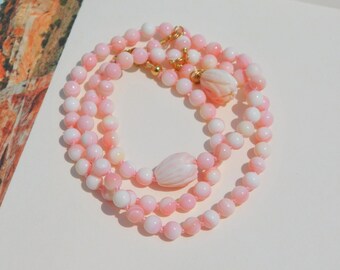 Baby Conch Shell - Etsy