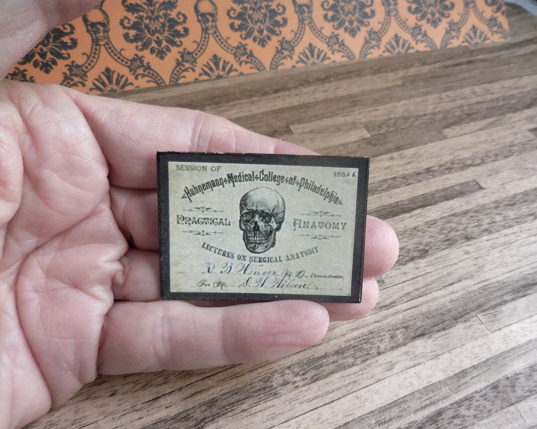 Practical Anatomy Diploma ~ Skull ~ Ghoul ~ Halloween ~ Dollhouse ...