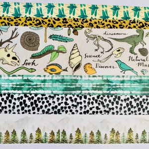 Dinosaur, Fossils, History, Science, Museum, Bugs, Plants, Forest ...