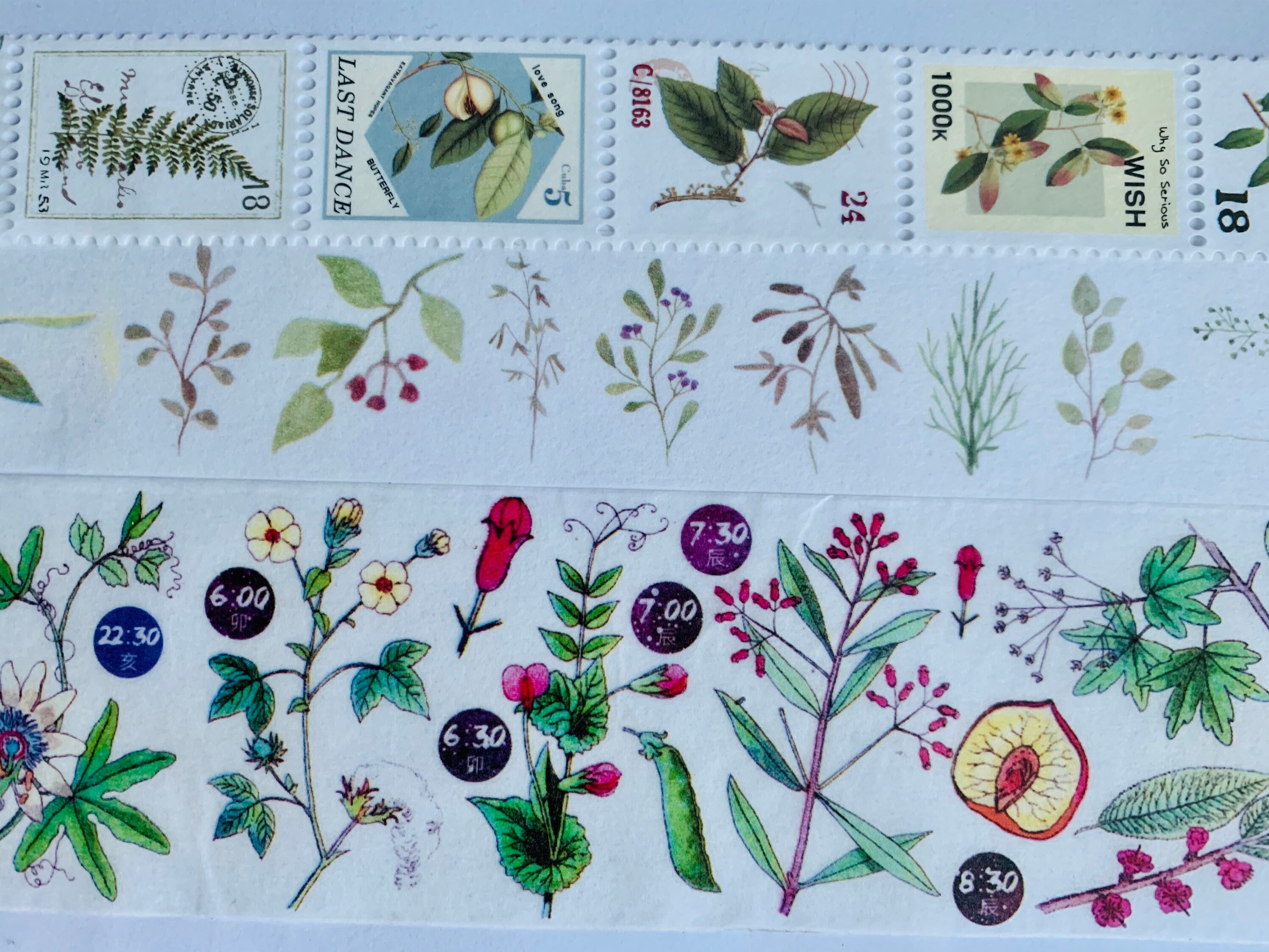 Botanical, Floral, Folliage, Vintage, Flowers, Bouquets, Wedding ...