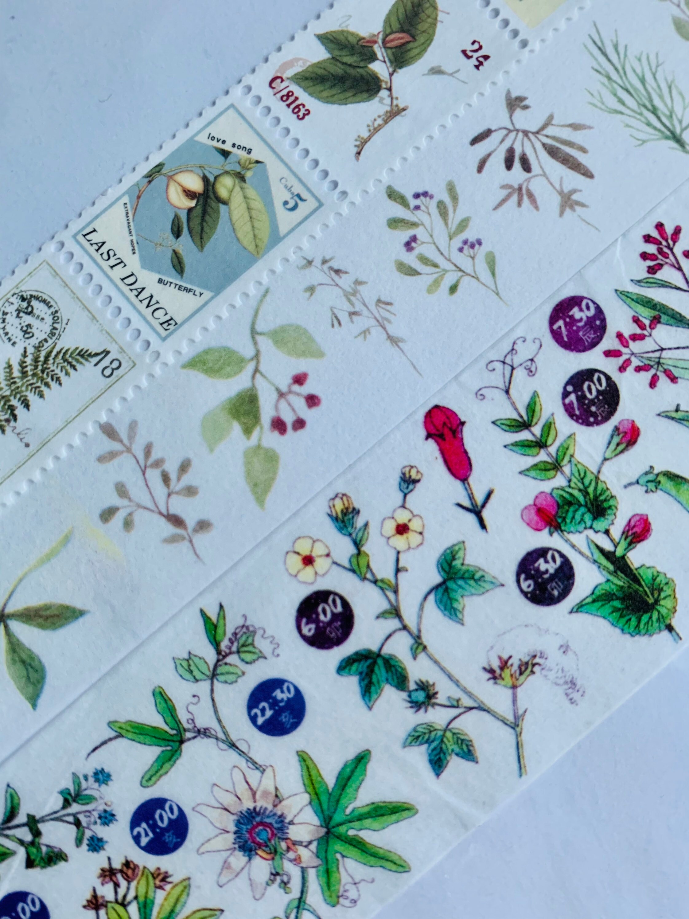 Botanical, Floral, Folliage, Vintage, Flowers, Bouquets, Wedding ...
