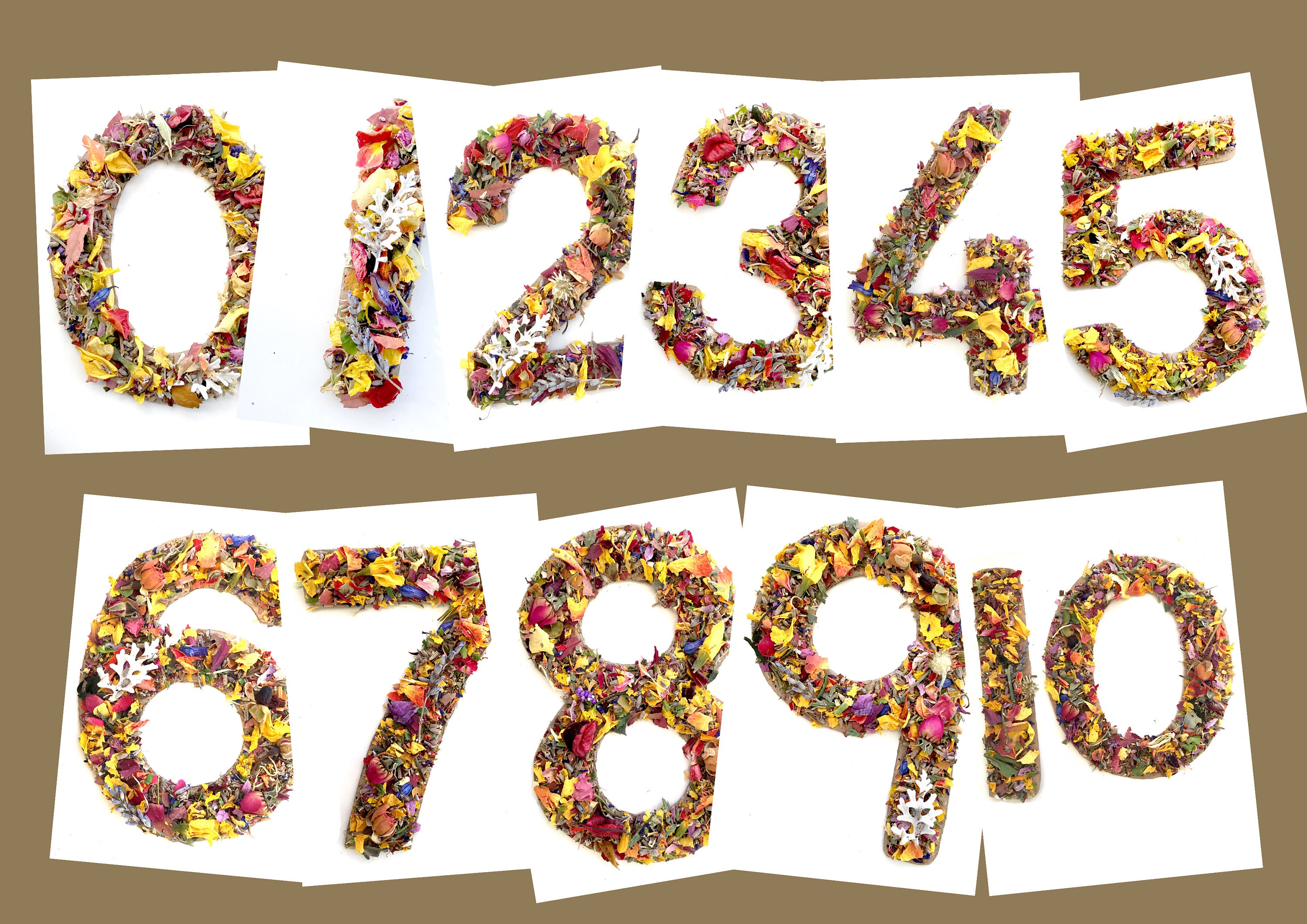 0-10 PETAL NUMERALS printable DOWNLOADS — Naturally Creative Early Years