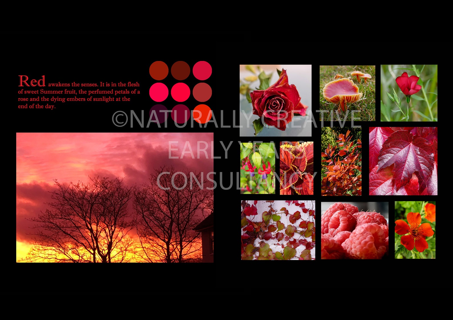 Nature's Colour Palette CLASSROOM DISPLAY Digital - Etsy