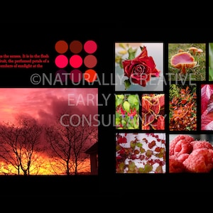 Nature's Colour Palette Classroom Display: Printable Learning (digital ...