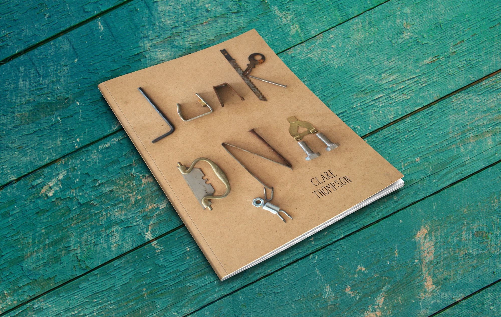 JUNK DNA A5 softback wordless picture book — Naturally Creative Early Years
