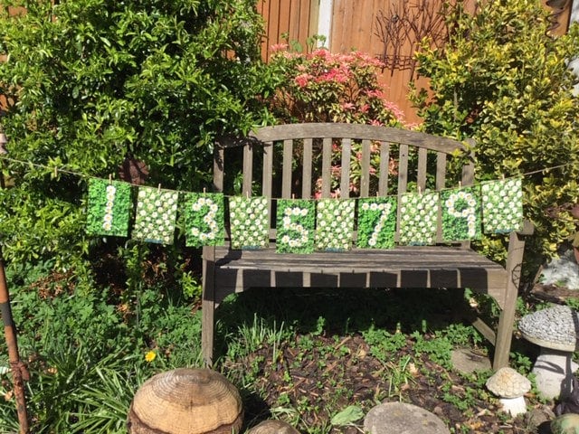 DAISY NUMERALS 0-10 postcards / flashcards for washing line number ...