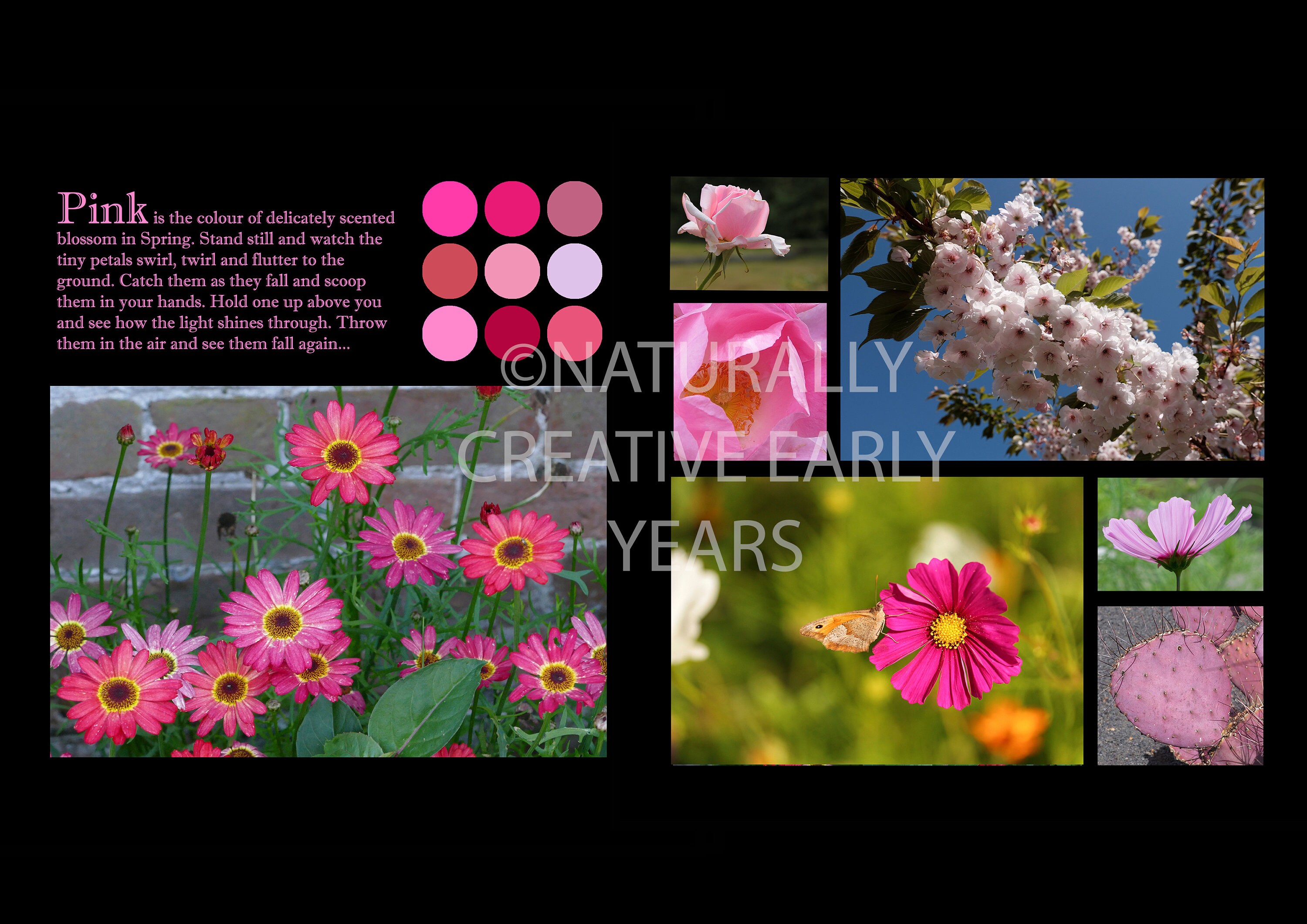 Nature's Colour Palette CLASSROOM DISPLAY Digital - Etsy