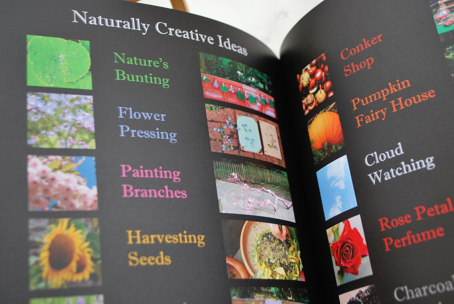 NATURE'S COLOUR PALETTE A Picture Book Celebrating Beauty | Etsy UK