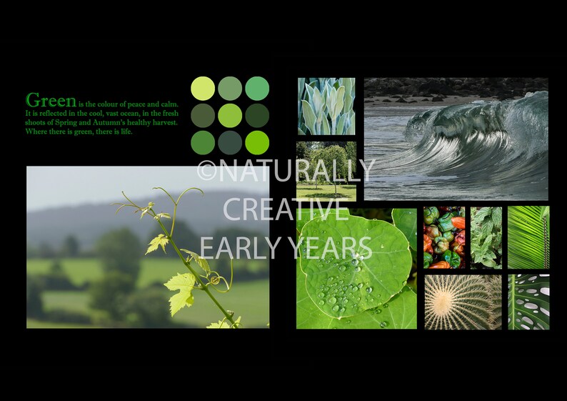 Nature's Colour Palette CLASSROOM DISPLAY Digital - Etsy