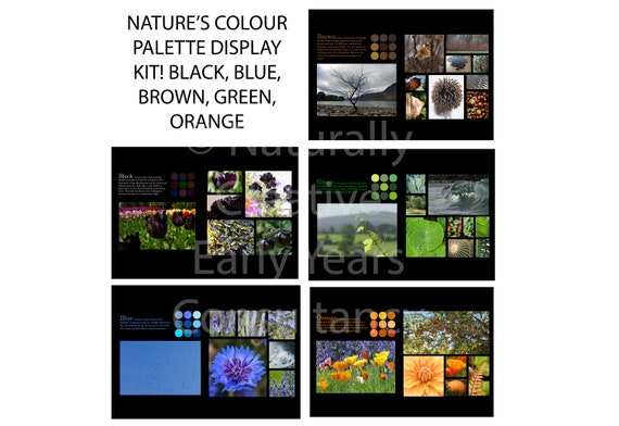 Nature's Colour Palette CLASSROOM DISPLAY digital | Etsy