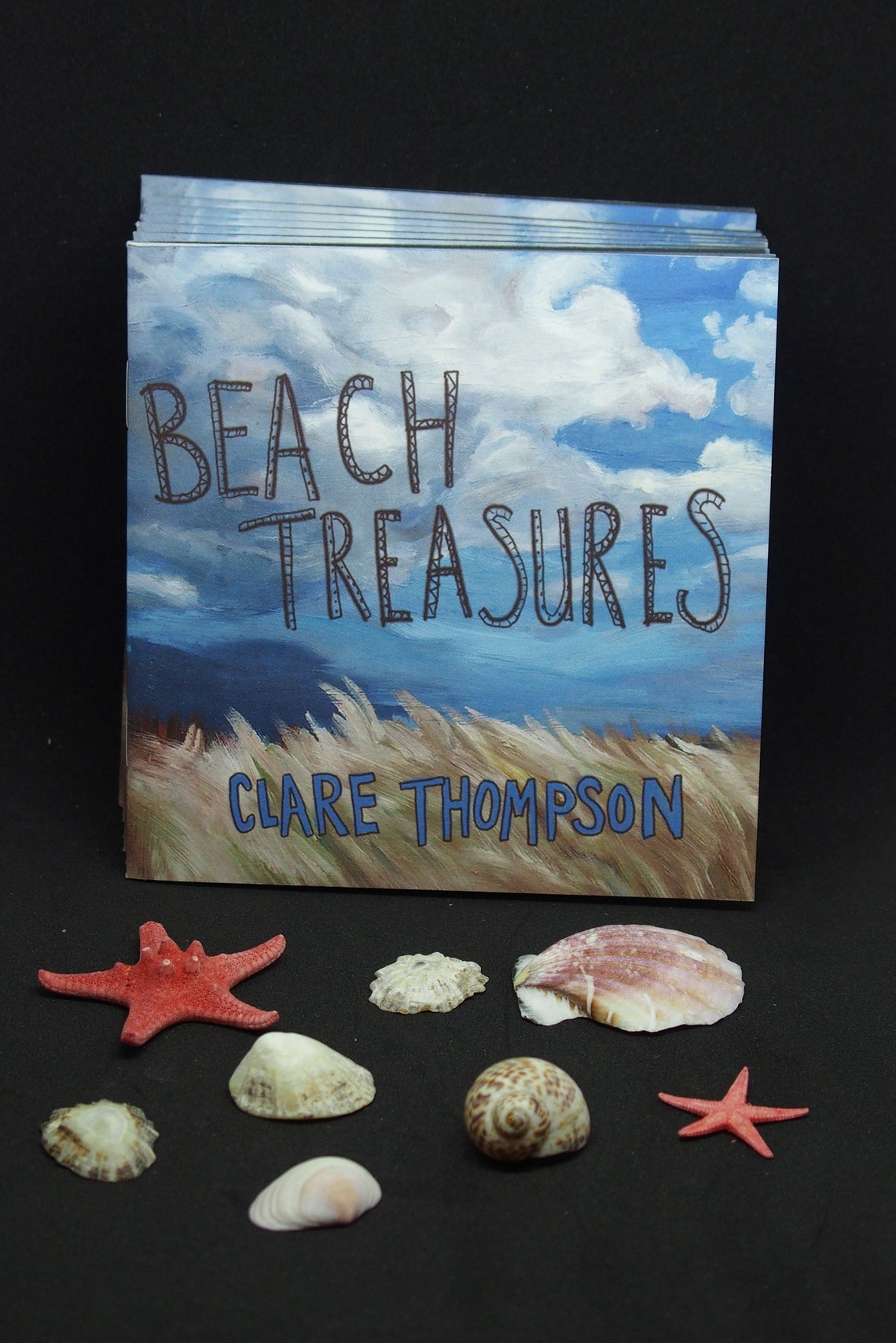 MINI BEACH TREASURES Book Observational Paintings Beach Art | Etsy