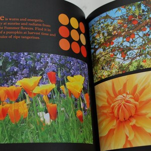 NATURE'S COLOUR PALETTE A Picture Book Celebrating Beauty of Colour in ...