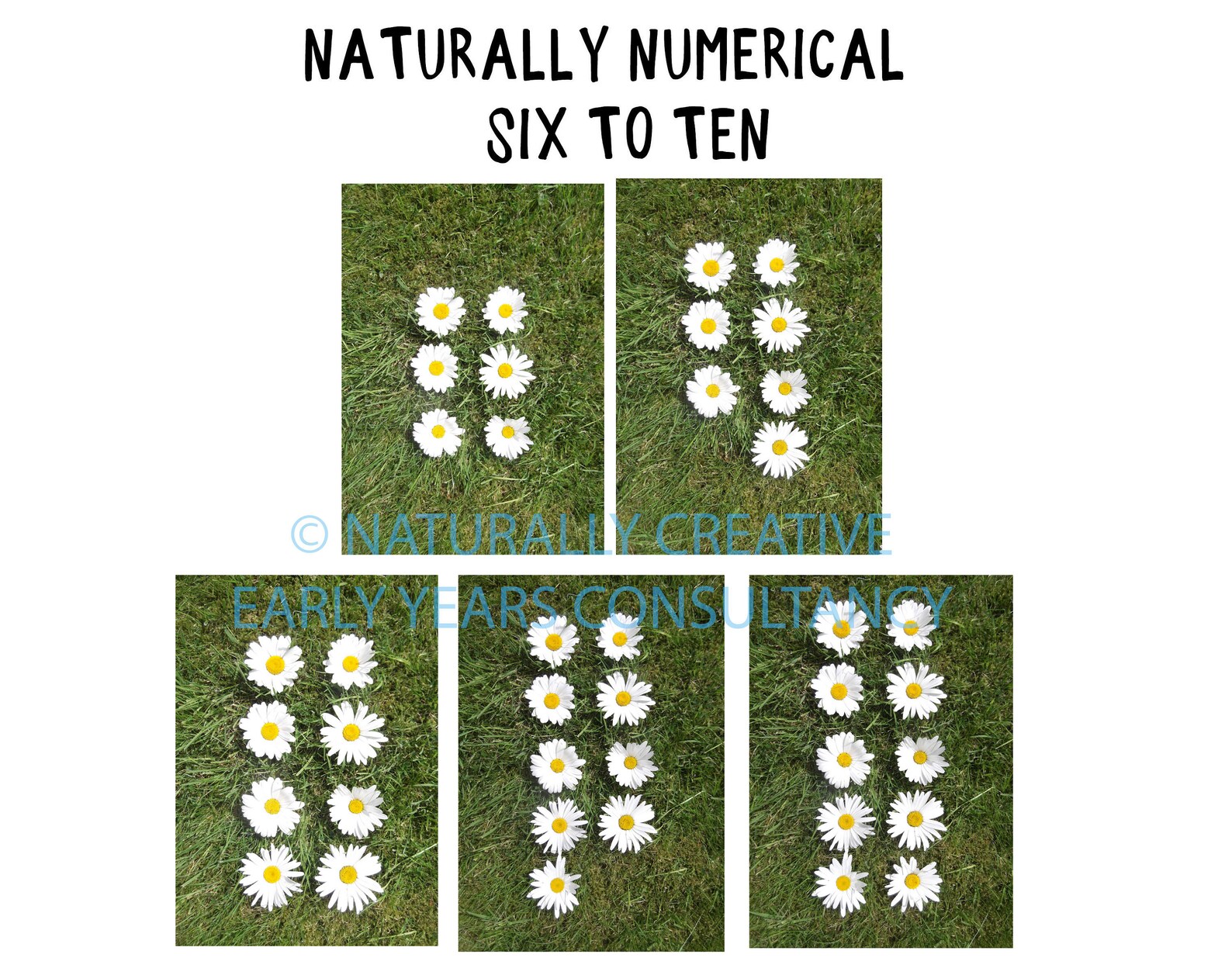 Naturally Numerical 6-10 Printable Downloads DAISY NUMICON | Etsy