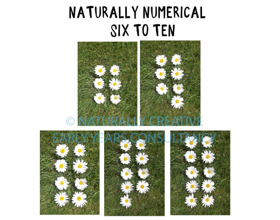 Naturally Numerical 6-10 Printable Downloads DAISY NUMICON | Etsy