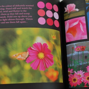 NATURE'S COLOUR PALETTE A Picture Book Celebrating Beauty of Colour in ...
