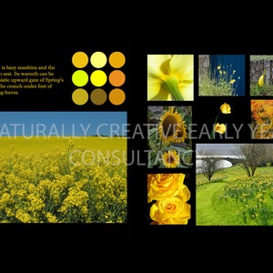 Nature's Colour Palette Classroom Display: Printable Learning (digital ...