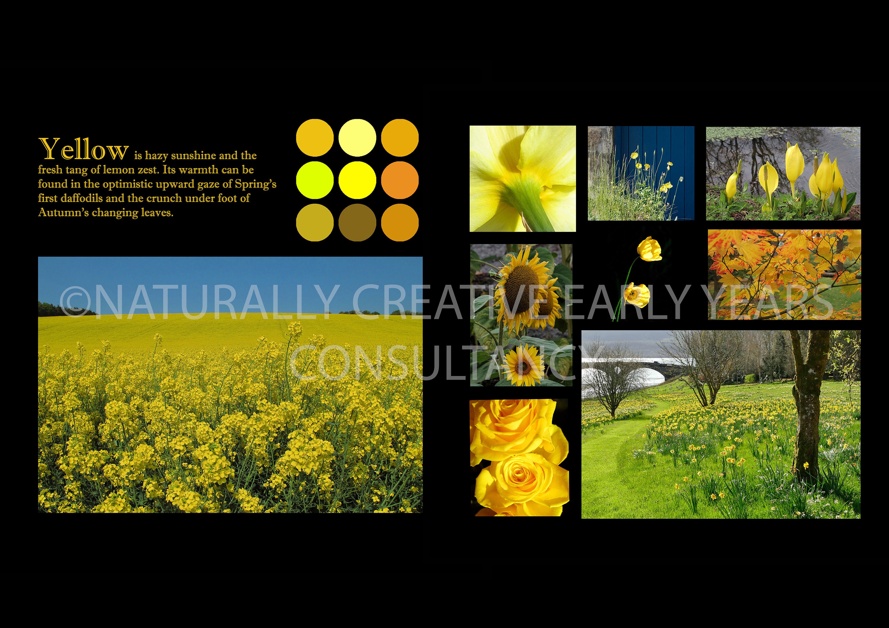 Nature's Colour Palette Classroom Display: Printable Learning (digital ...