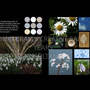 Nature's Colour Palette Classroom Display: Printable Learning (digital ...