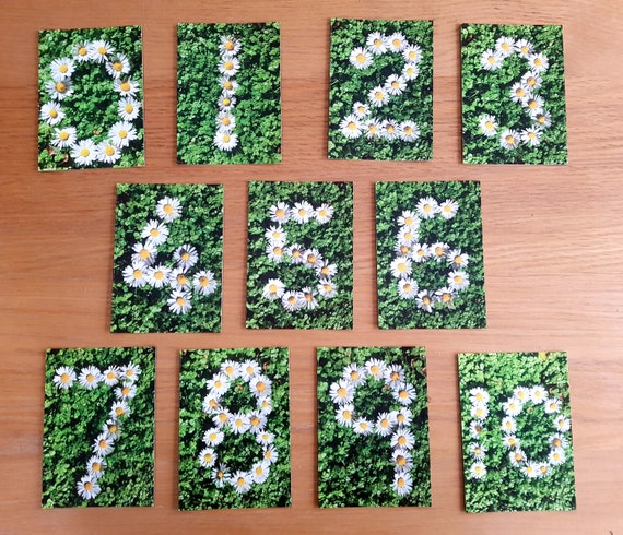 DAISY NUMERALS 0-10 Postcards / Flashcards for Washing Line - Etsy
