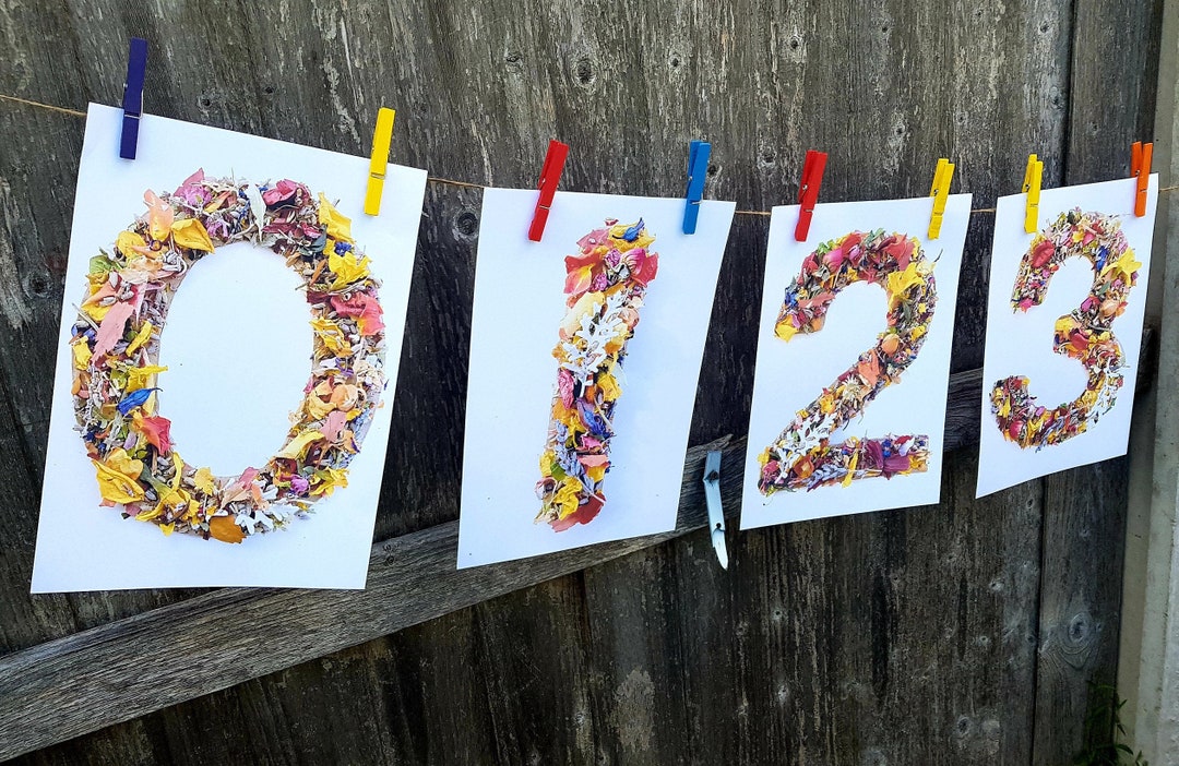 Flower Petal Number Printables 0-3: Preschool Learning (A4 PDF) - Etsy