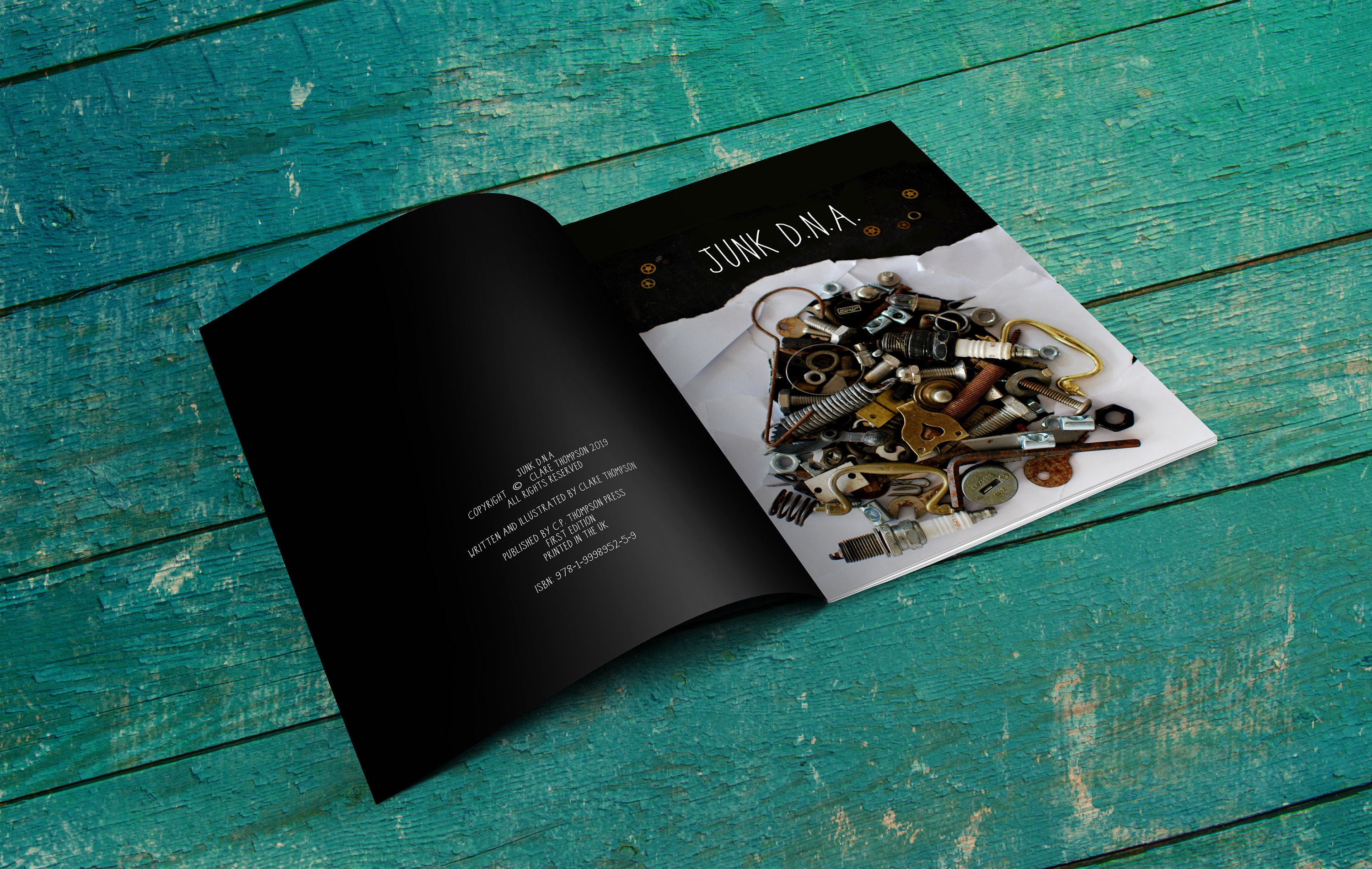 JUNK DNA A5 softback wordless picture book — Naturally Creative Early Years