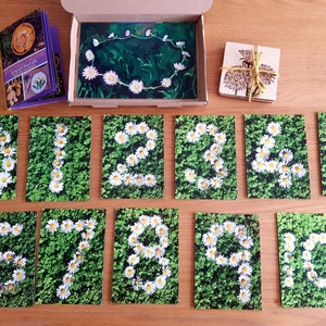 DAISY NUMERALS 0-10 Postcards / Flashcards for Washing Line - Etsy