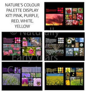 Nature's Colour Palette Classroom Display: Printable Learning (digital ...