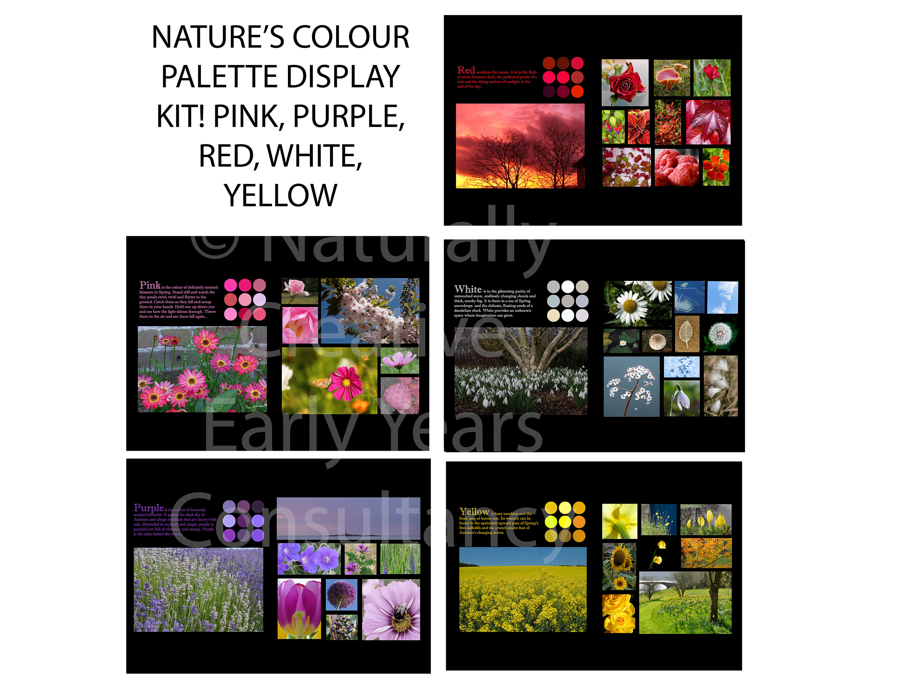 Nature's Colour Palette CLASSROOM DISPLAY Digital - Etsy