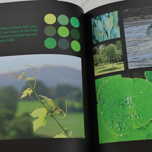 NATURE'S COLOUR PALETTE A Picture Book Celebrating Beauty of Colour in ...