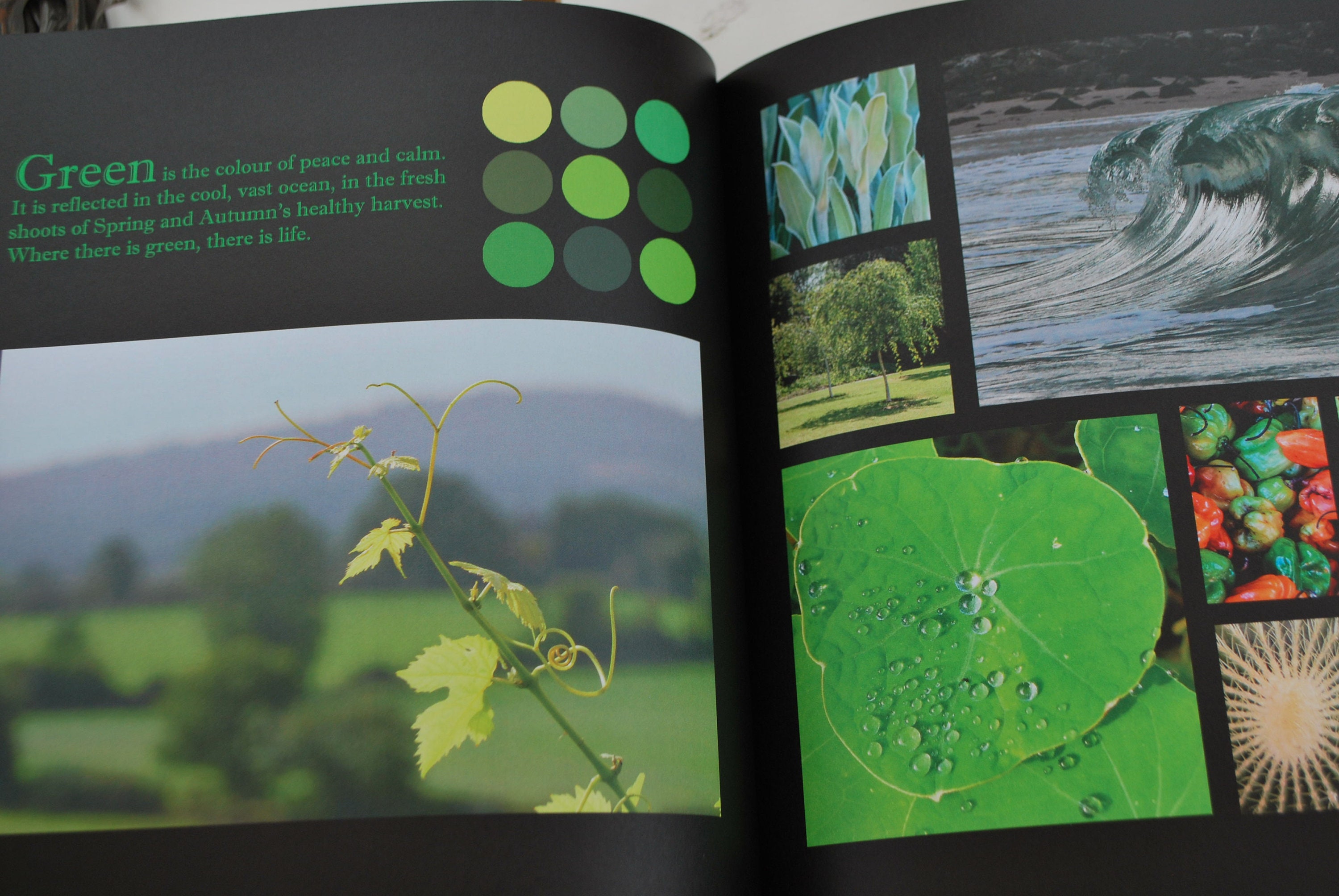 NATURE'S COLOUR PALETTE picture book — Naturally Creative Early Years
